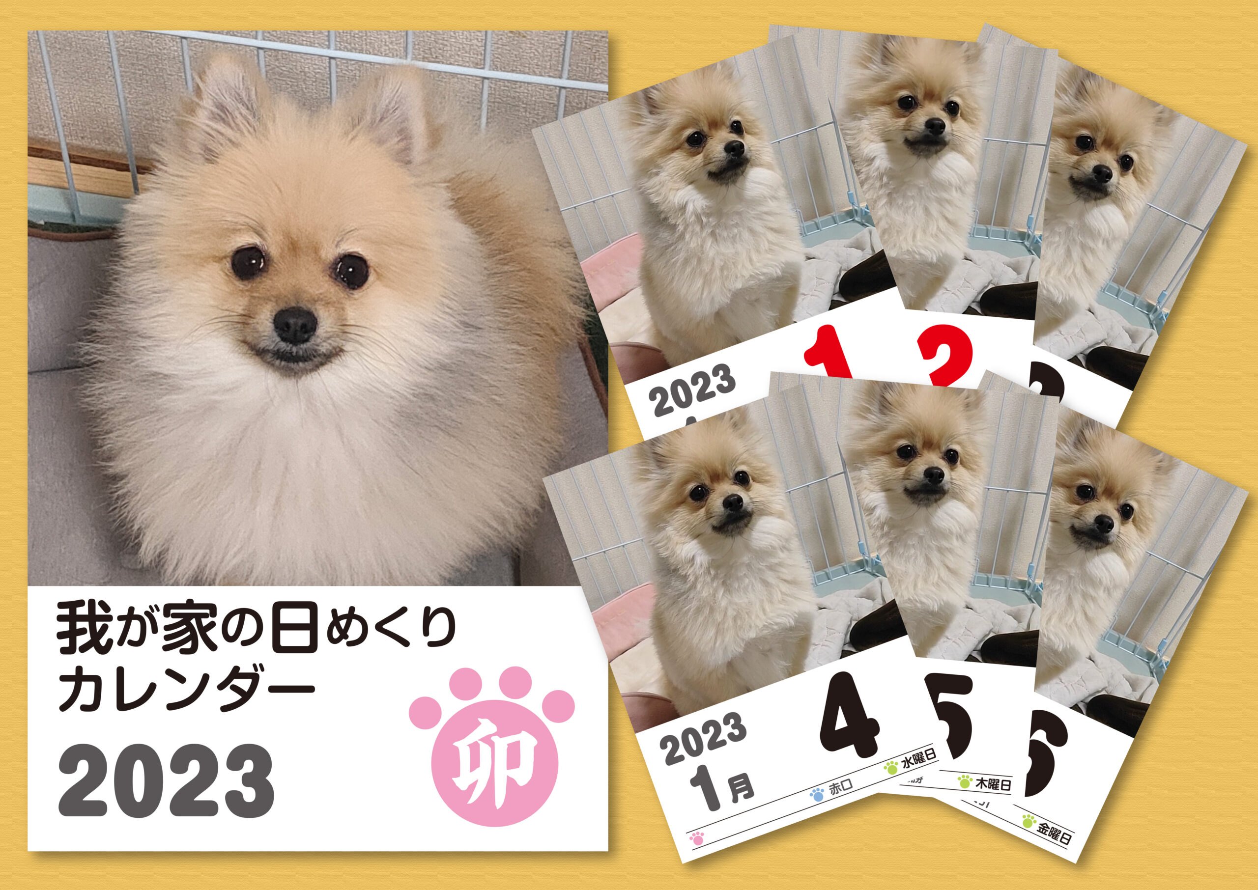 HP SmartStream Designer「HP Frames」を使って作ってみた〈日めくりカレンダー〉 - インサツビト